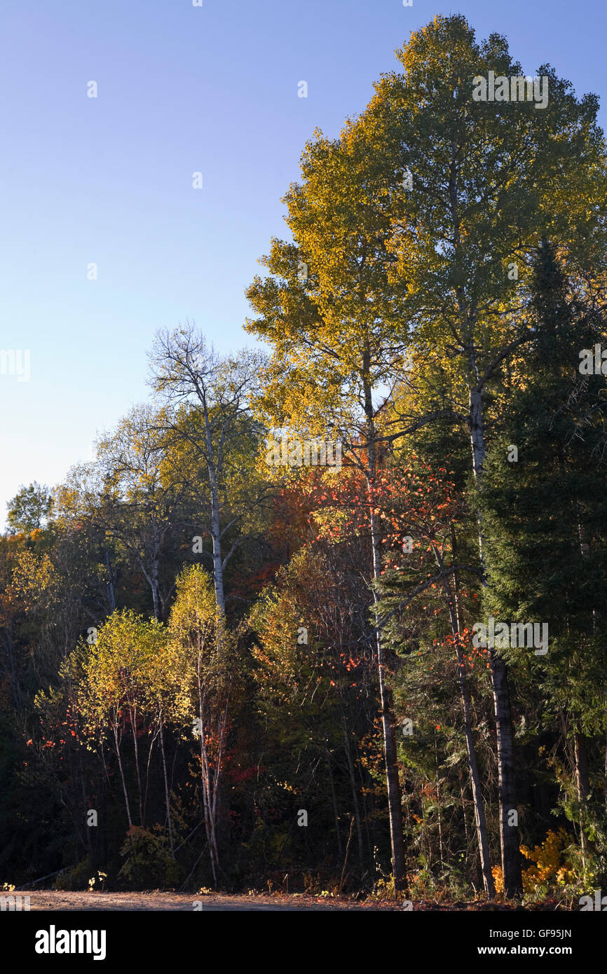 Crawford lake in ontario hi-res stock photography and images - Alamy