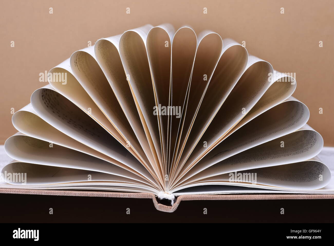 Closeup view of book pages Stock Photo - Alamy