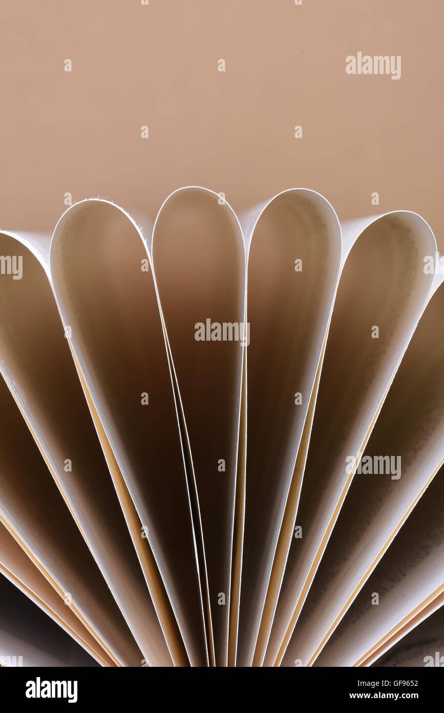 Closeup view of book pages, copy space for text Stock Photo - Alamy