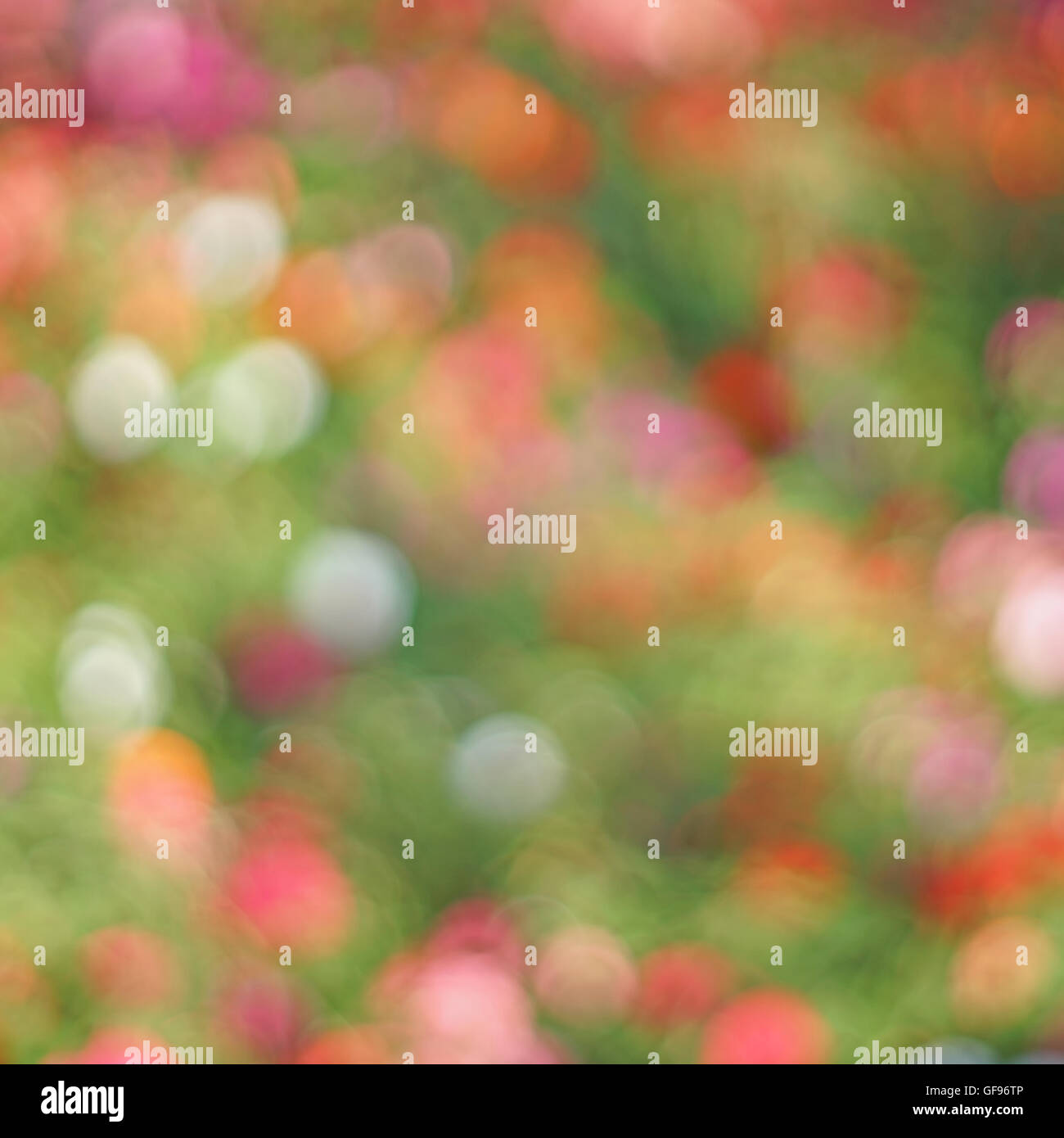 Color and bokeh hi-res stock photography and images - Alamy