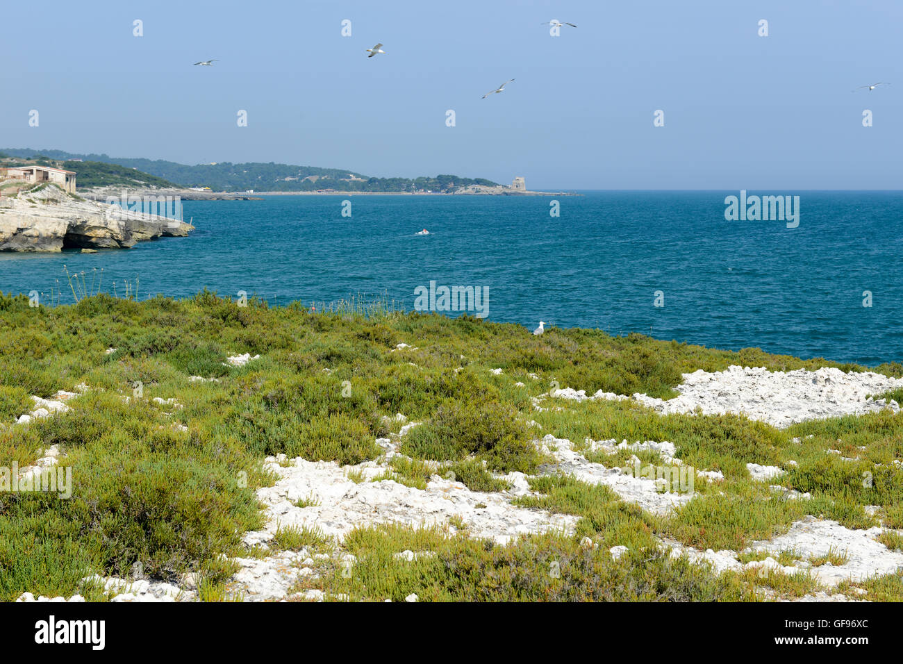 Island on the coast of Torre Canne on Puglia, Italy Stock Photo - Alamy