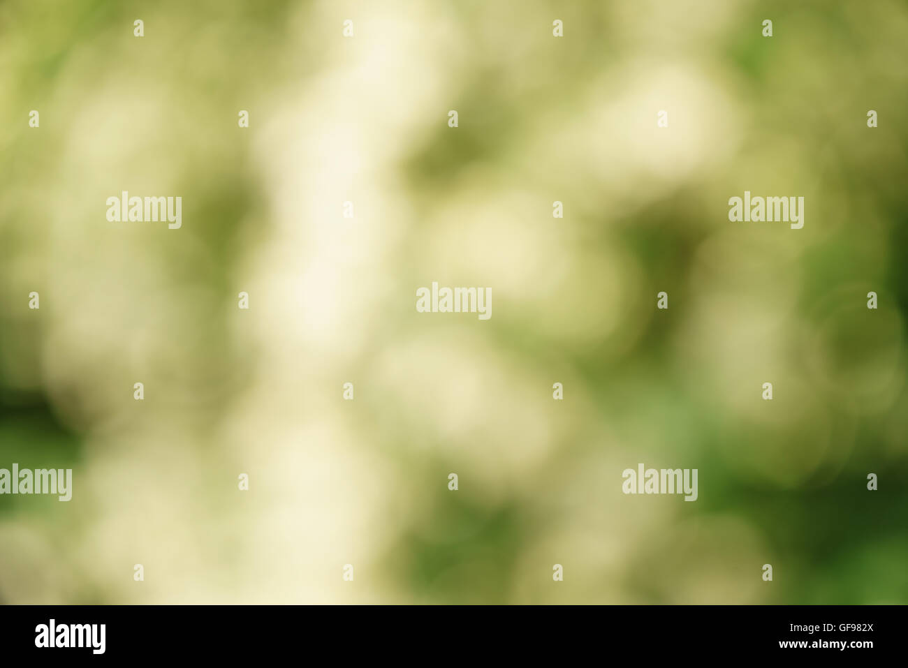 fresh green summer blur background Stock Photo - Alamy