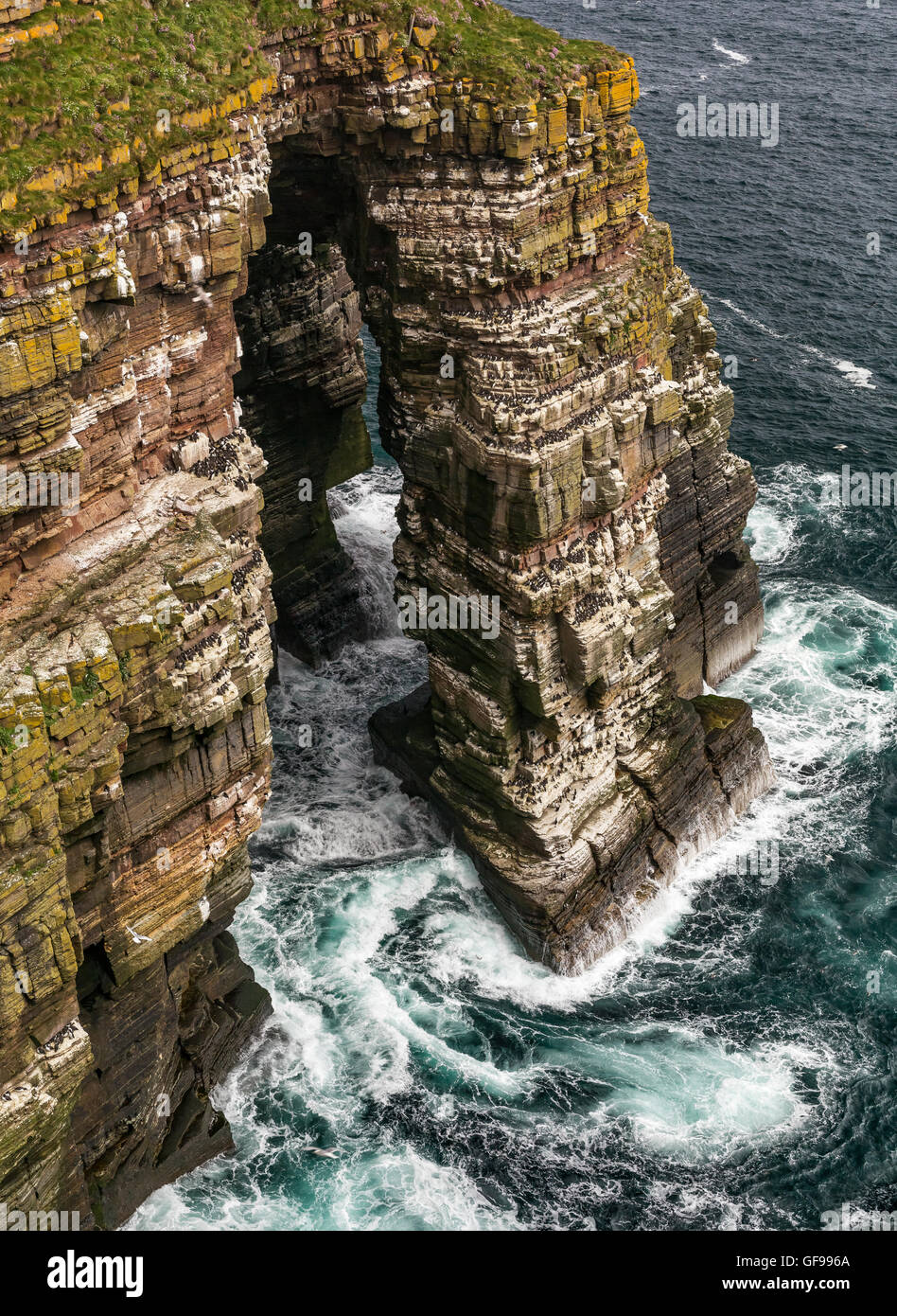 Sea sanctuary hi-res stock photography and images - Alamy