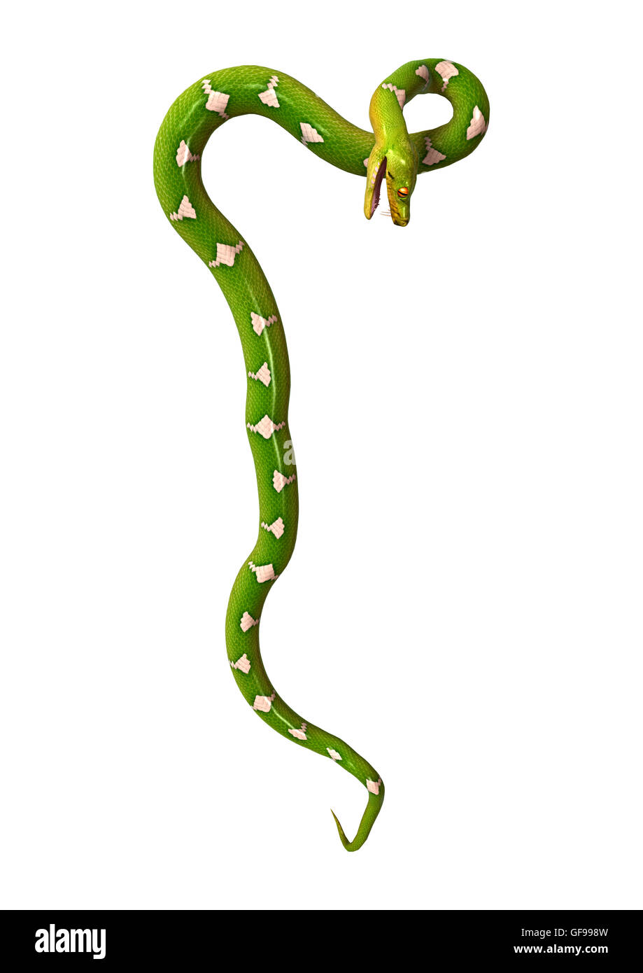 3D rendering of a Morelia viridis, or green tree python, or ...