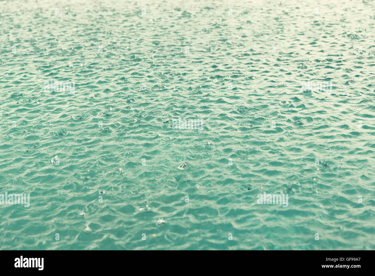 water surface with raindrops at rainy day Stock Photo - Alamy