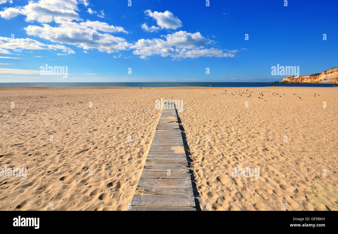 Wooden beach path hi-res stock photography and images - Alamy