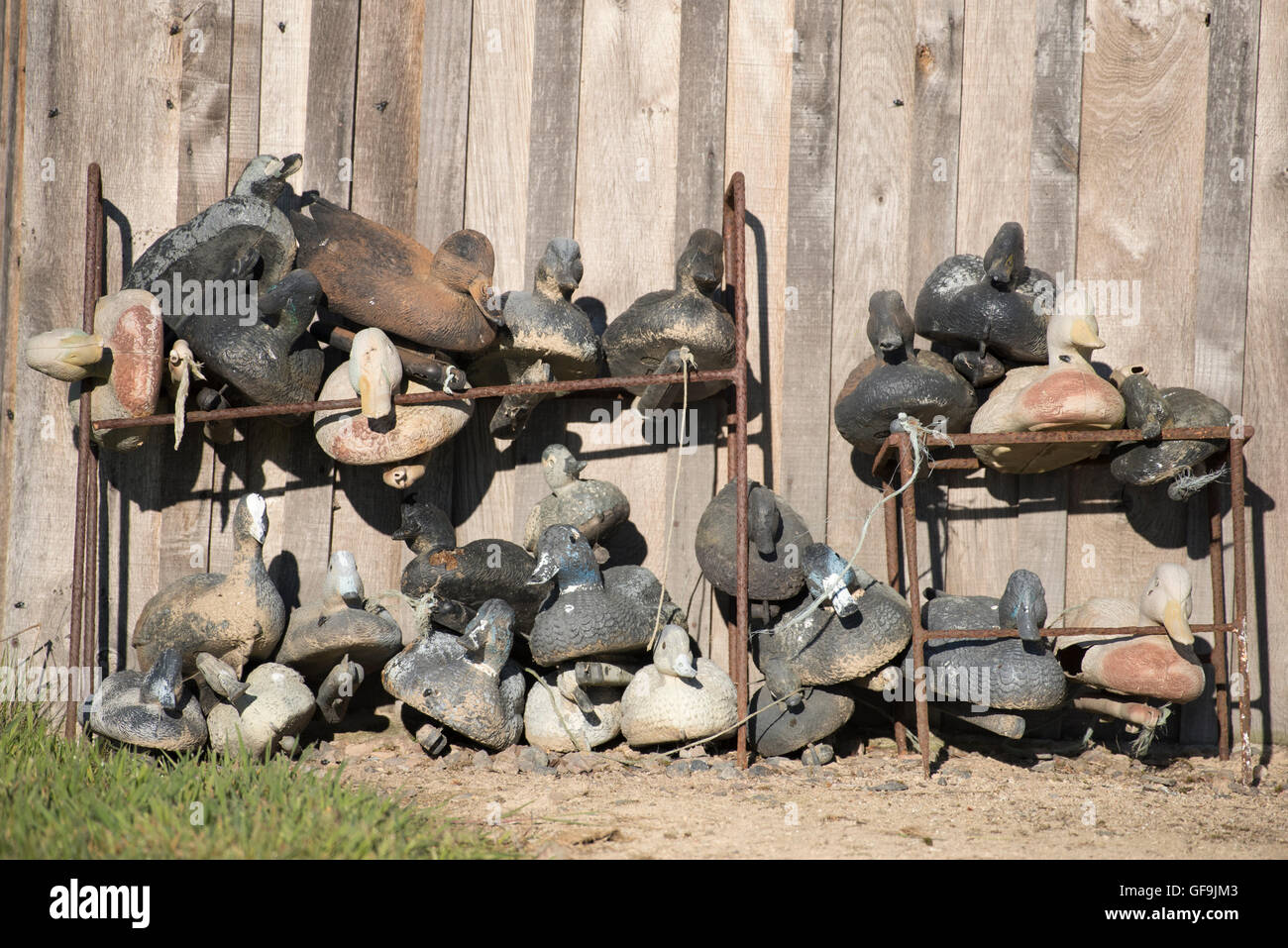 Duck decoys against a wooden shed Stock Photo - Alamy