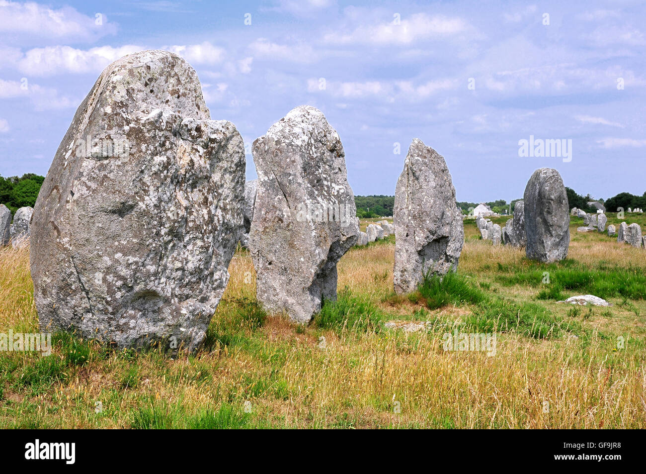 Standing Stones In Brittany
