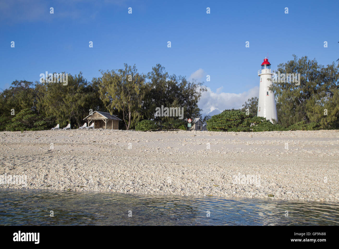 Lady elliot island hi-res stock photography and images - Alamy