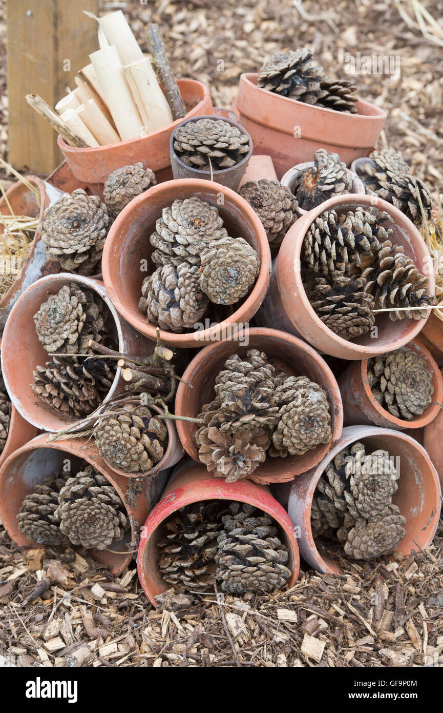 Insect friendly gardens hi-res stock photography and images - Alamy