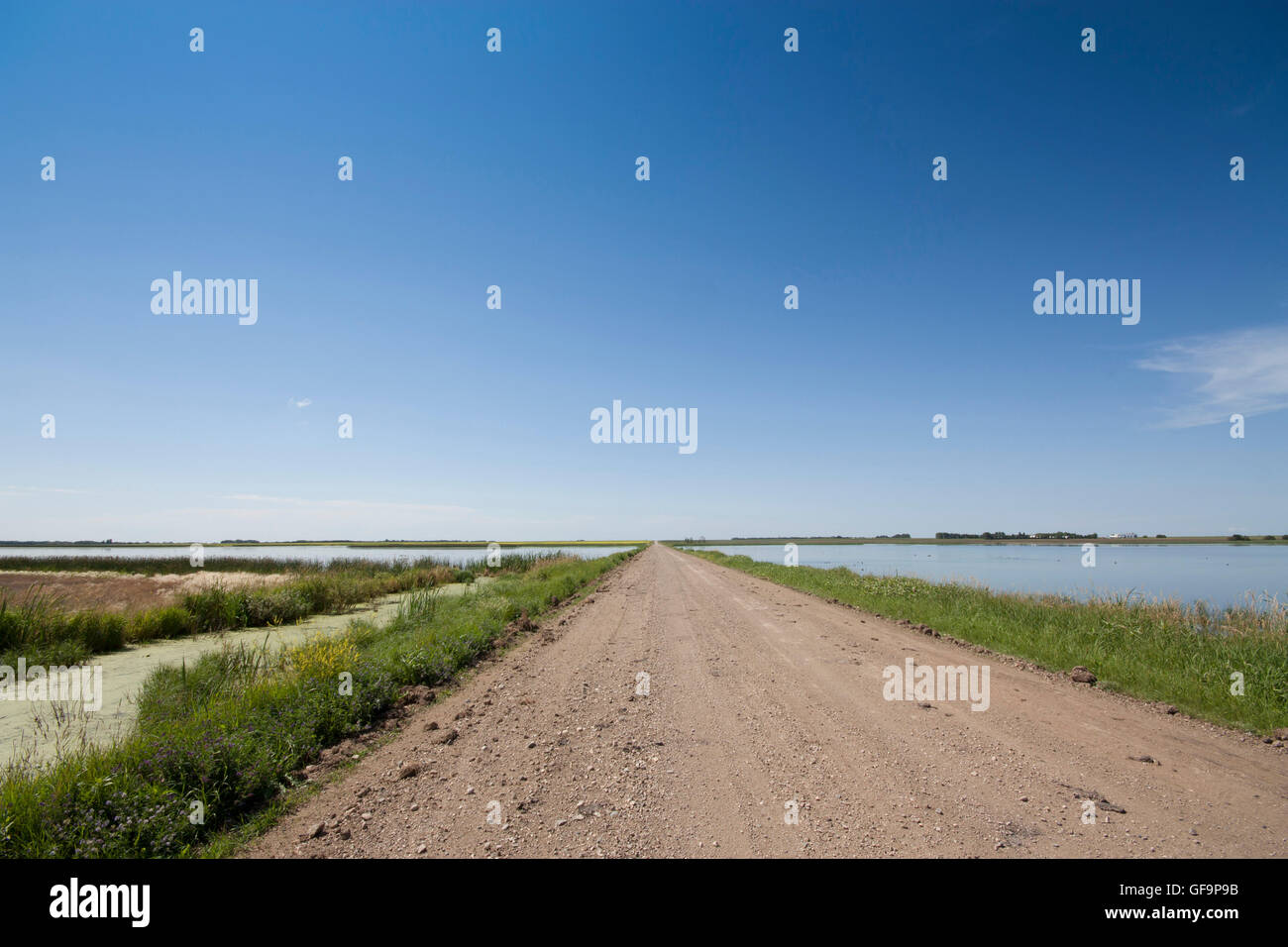 empty dirt road in Saskatchewan Canada near lakes Stock Photo - Alamy