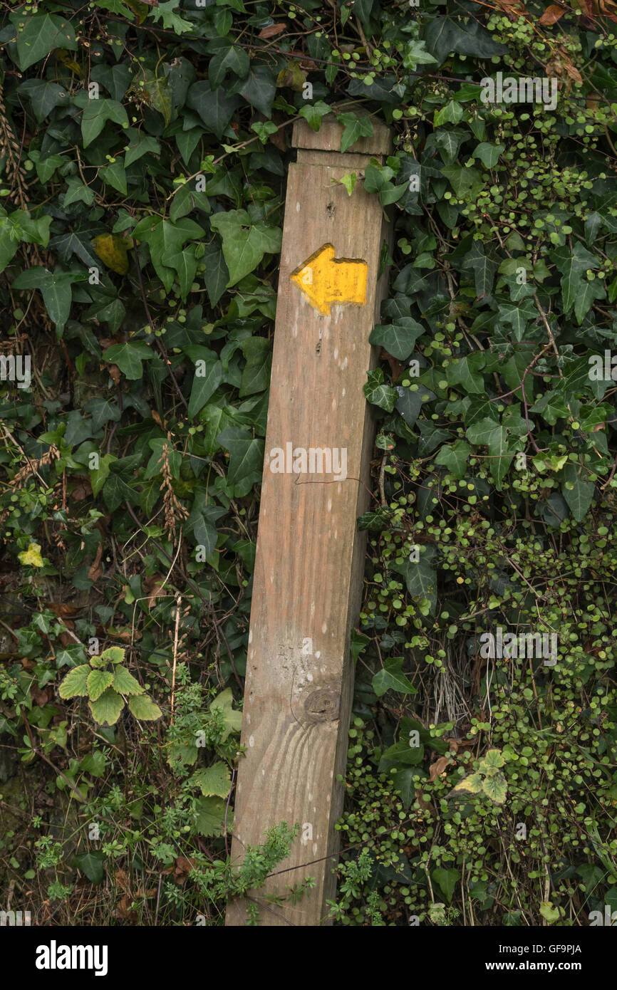 Public footpath / right of way marker arrow in Cornwall (England ...