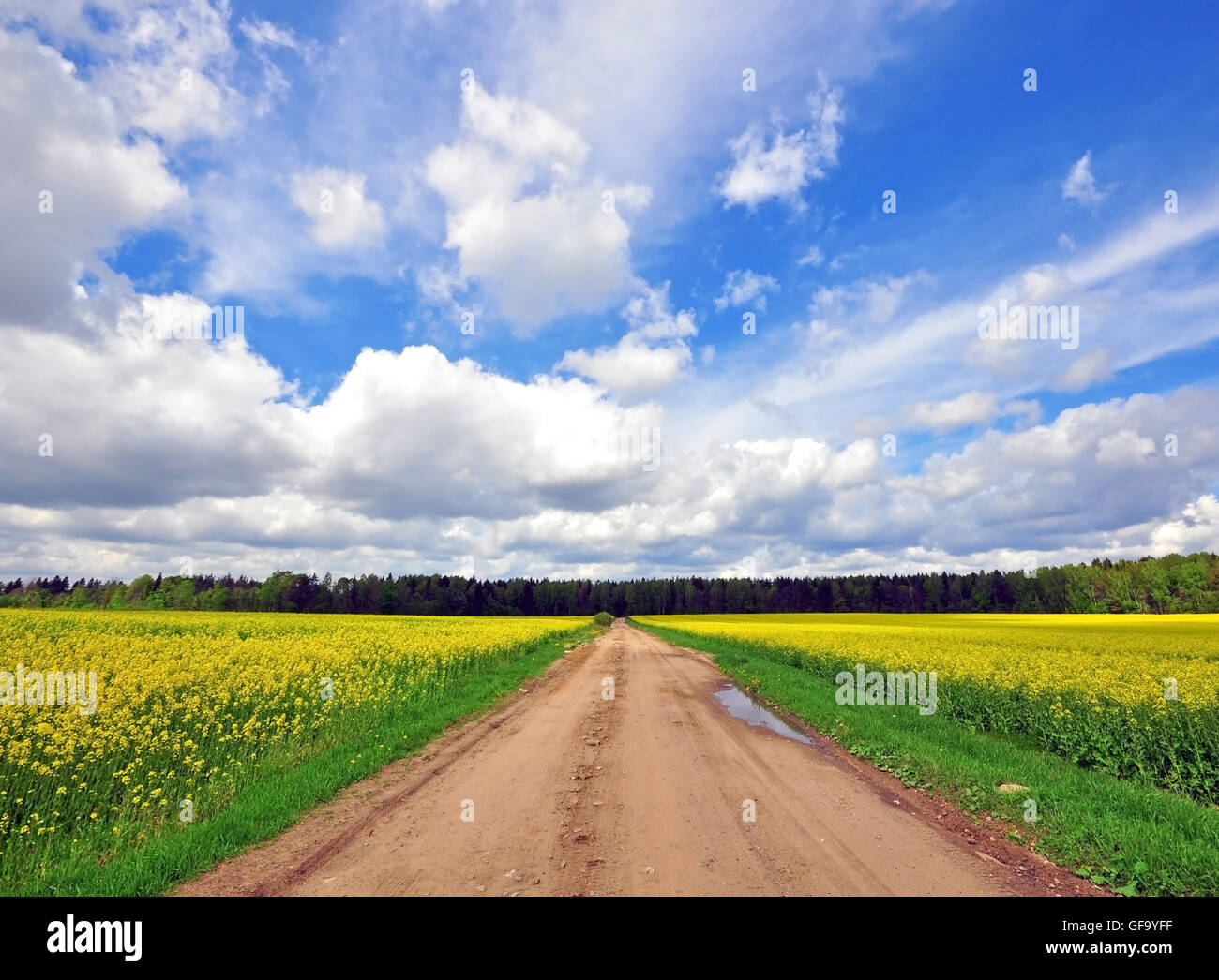 Czech belarus hi-res stock photography and images - Alamy