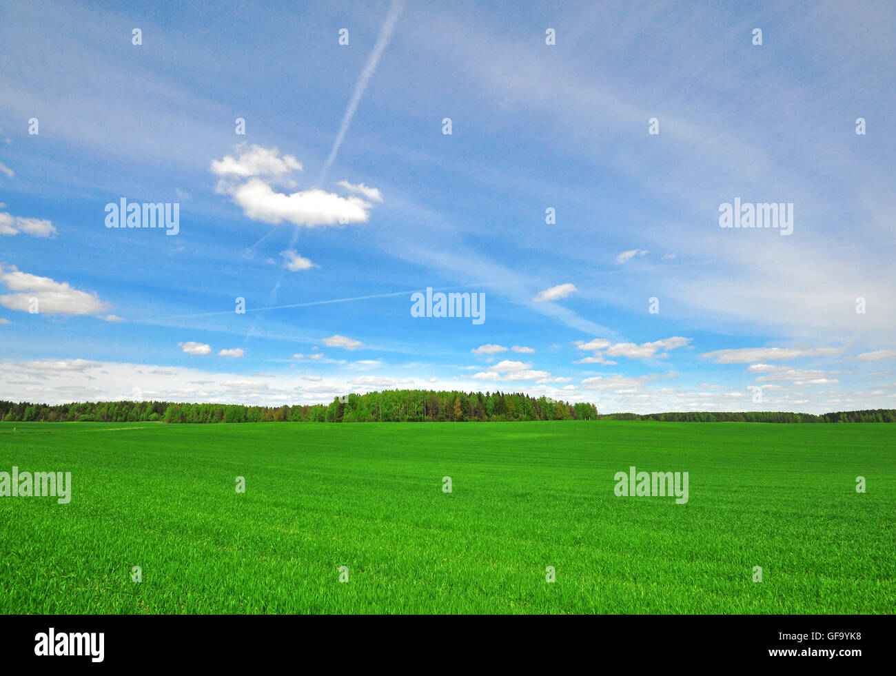 Grass field and cloudy sky Stock Photo - Alamy
