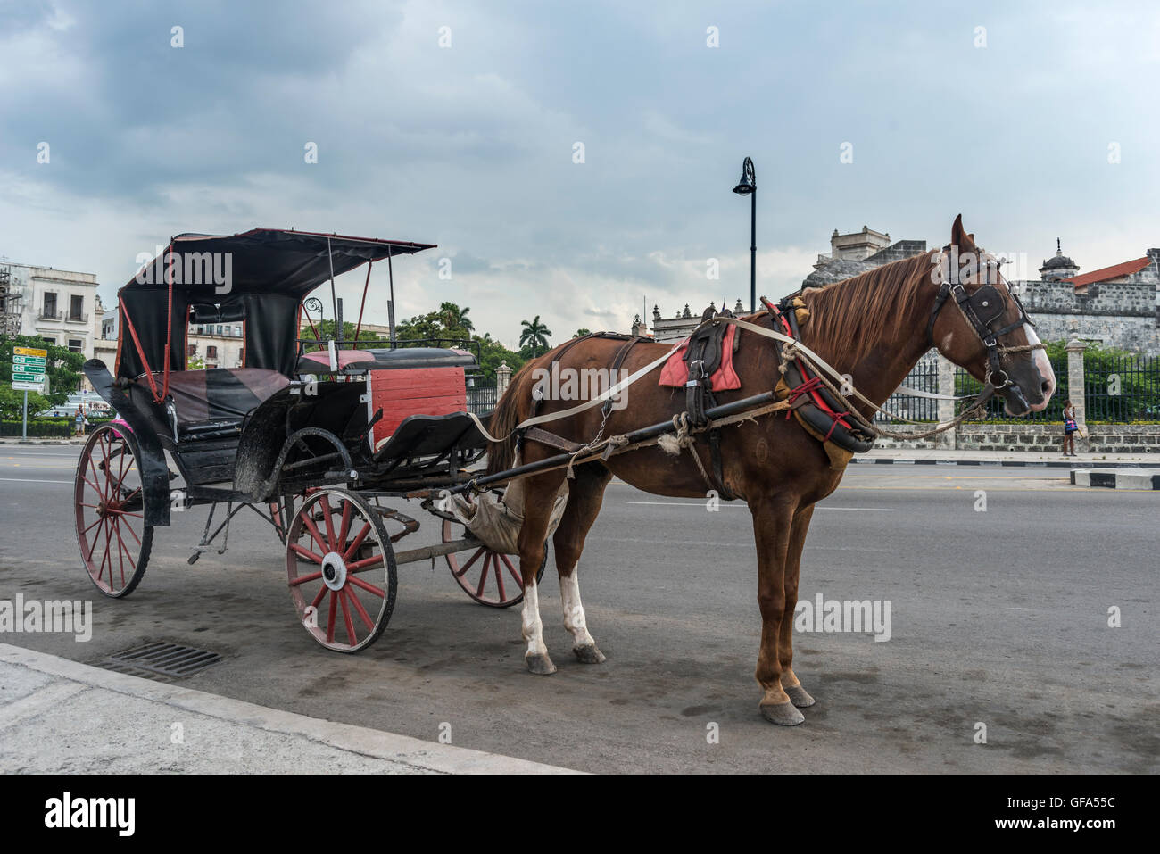 typical horse carriage for tourists in Havana, Cuba Stock Photo - Alamy