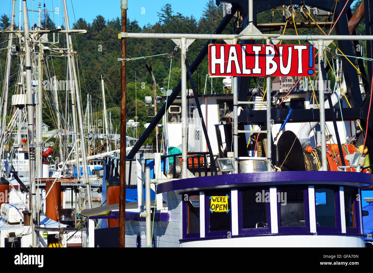 Sailing sail boats sign hi-res stock photography and images - Alamy