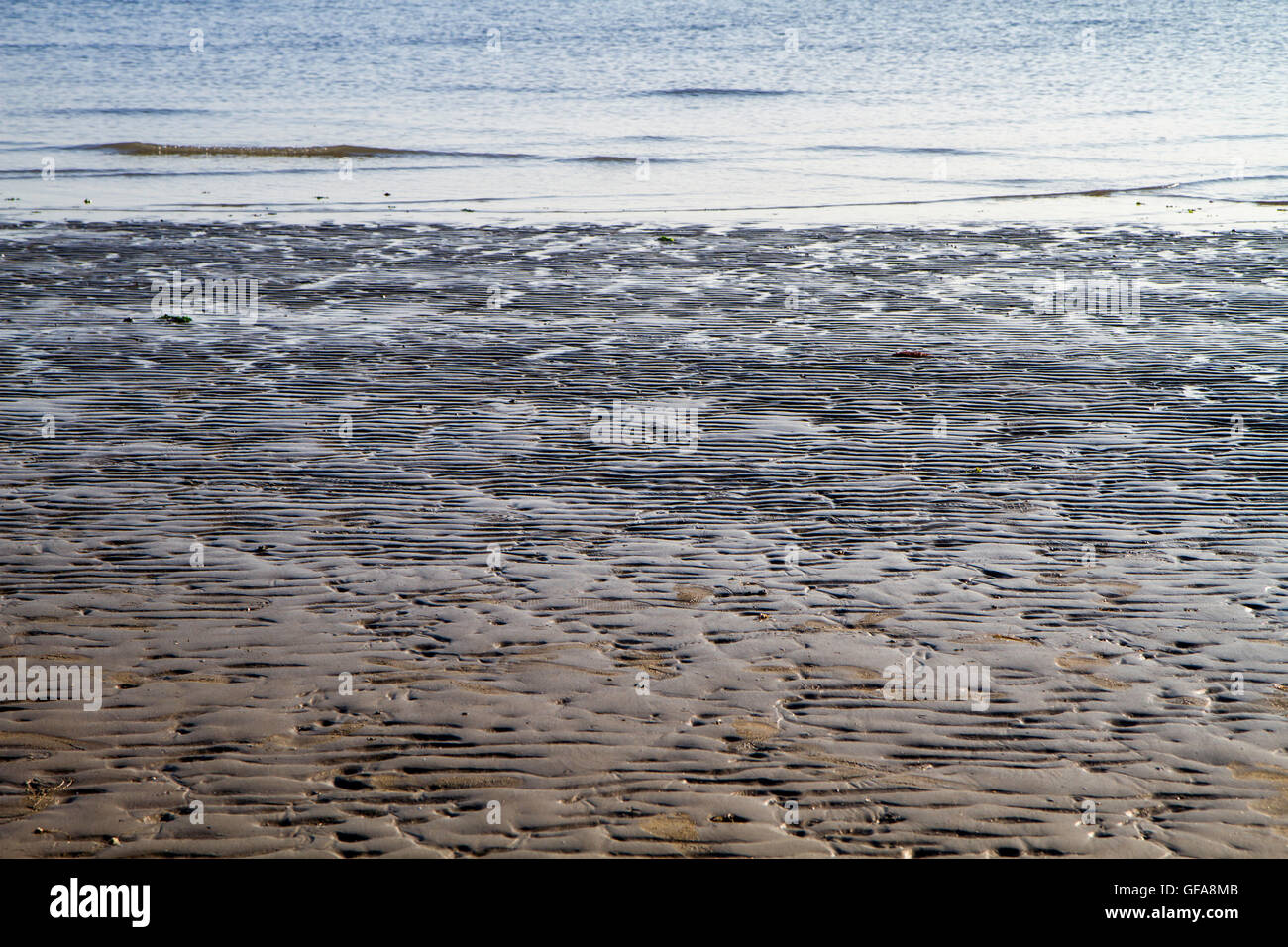 Tide algae hi-res stock photography and images - Alamy