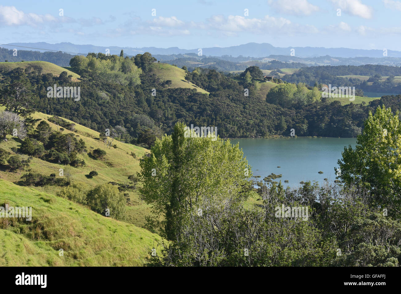 Mahurangi harbor hi-res stock photography and images - Alamy