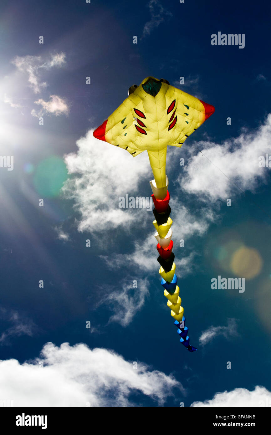Yellow Manta ray kite designed by Andreas Fischbacher in Lytham St Anne ...