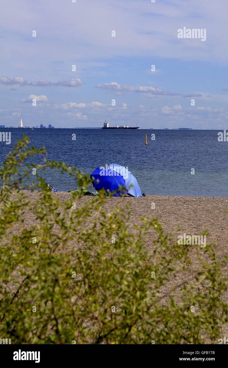 Kastrup, Denmark. 31st July, 2016. Life at Amamger strand park Amager ...