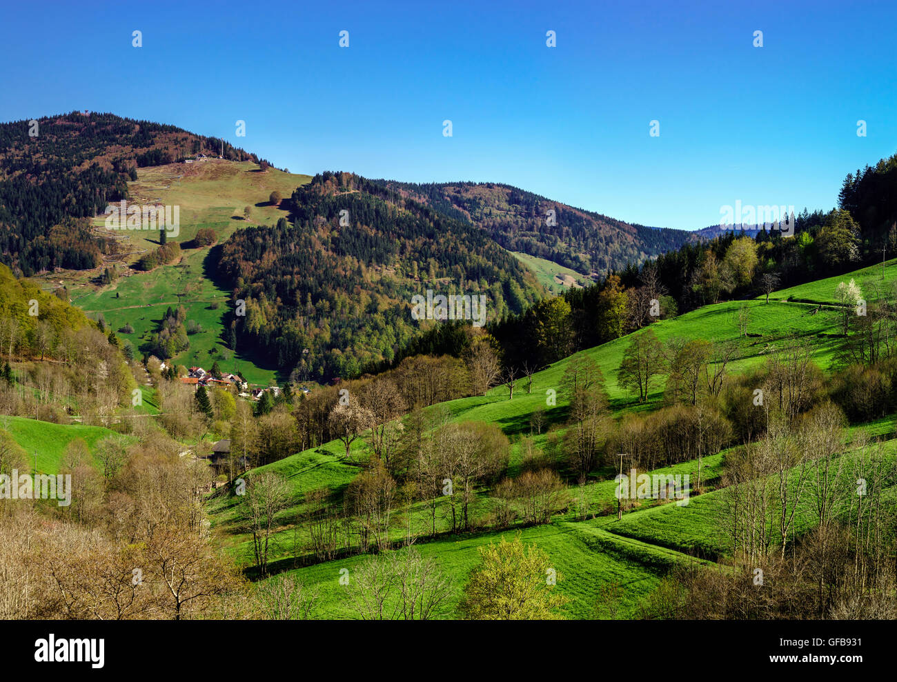 Schwarzwald mountains spring view, sunny day, natural landscape Stock ...