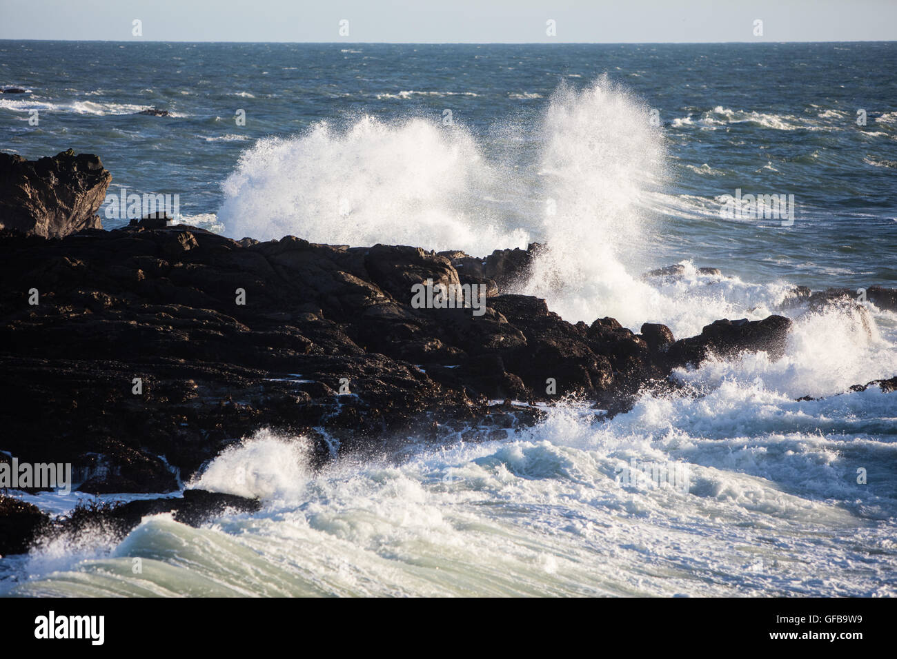 Powerful waves from the Pacific Ocean crash against the rocky Sonoma ...