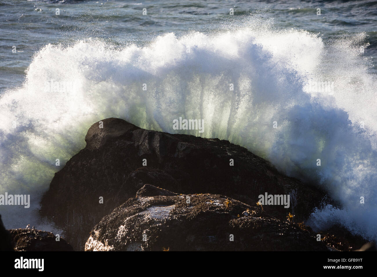 A wave from the Pacific Ocean crashes against the dramatic Sonoma coast ...