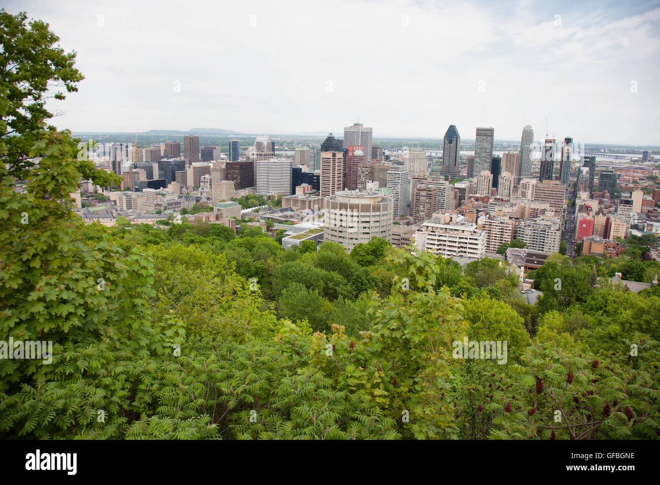 Mont royal park montreal hi-res stock photography and images - Alamy