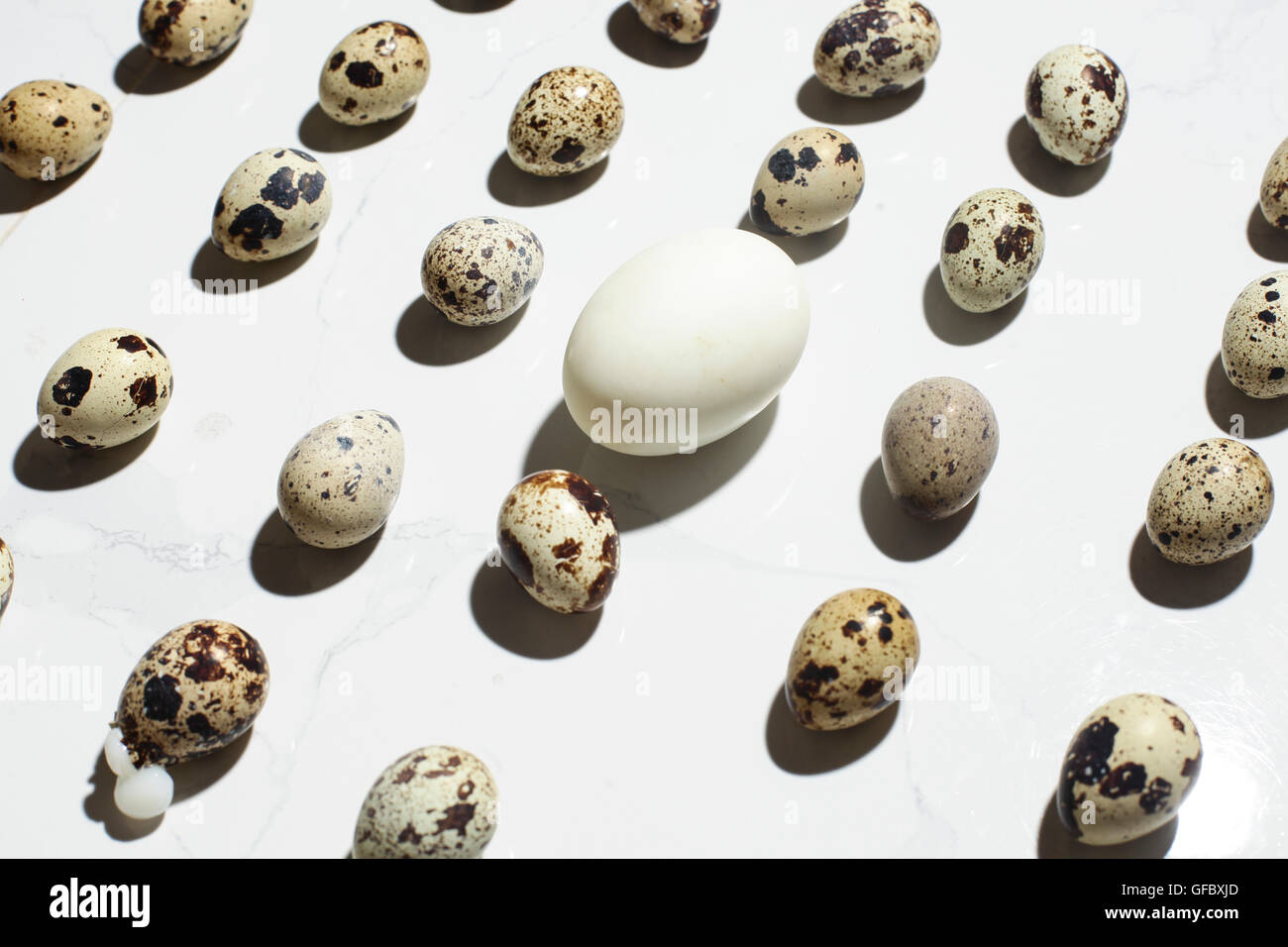 Group of quail eggs on the white background Stock Photo - Alamy