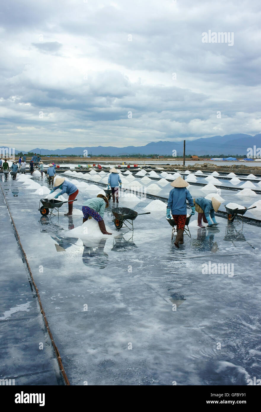 KHANH HOA, VIET NAM, Group of Asia worker working on salt marsh ...