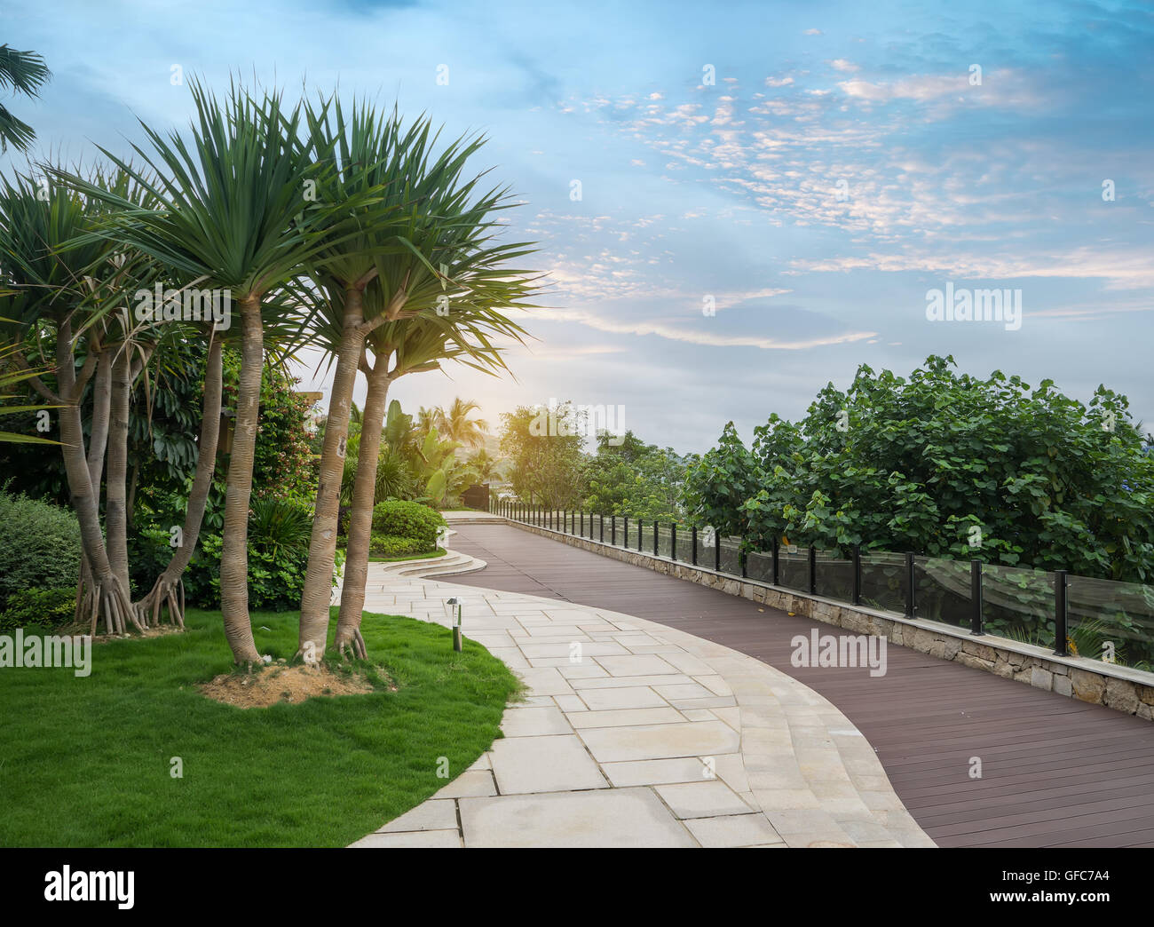 Walkway in a beautiful Park with Palms Stock Photo - Alamy