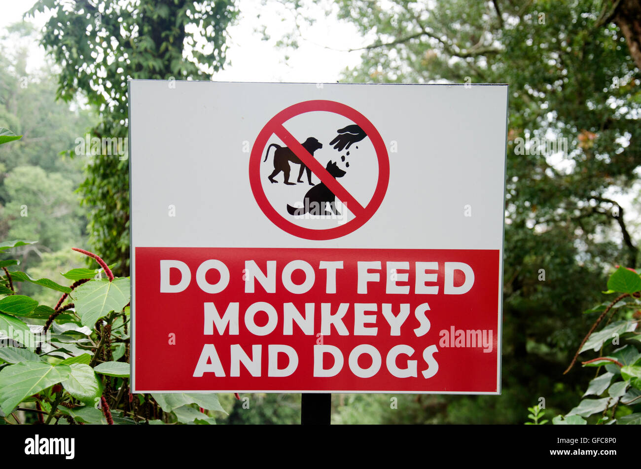 Caution label for awareness. danger for feeding food to animal Stock ...