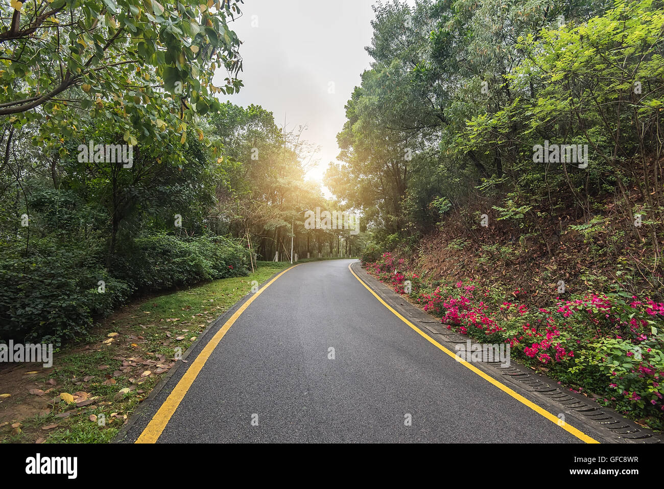 walkway in a beautiful Park Stock Photo - Alamy walkway in a beautiful Park Stock Photo - Alamy