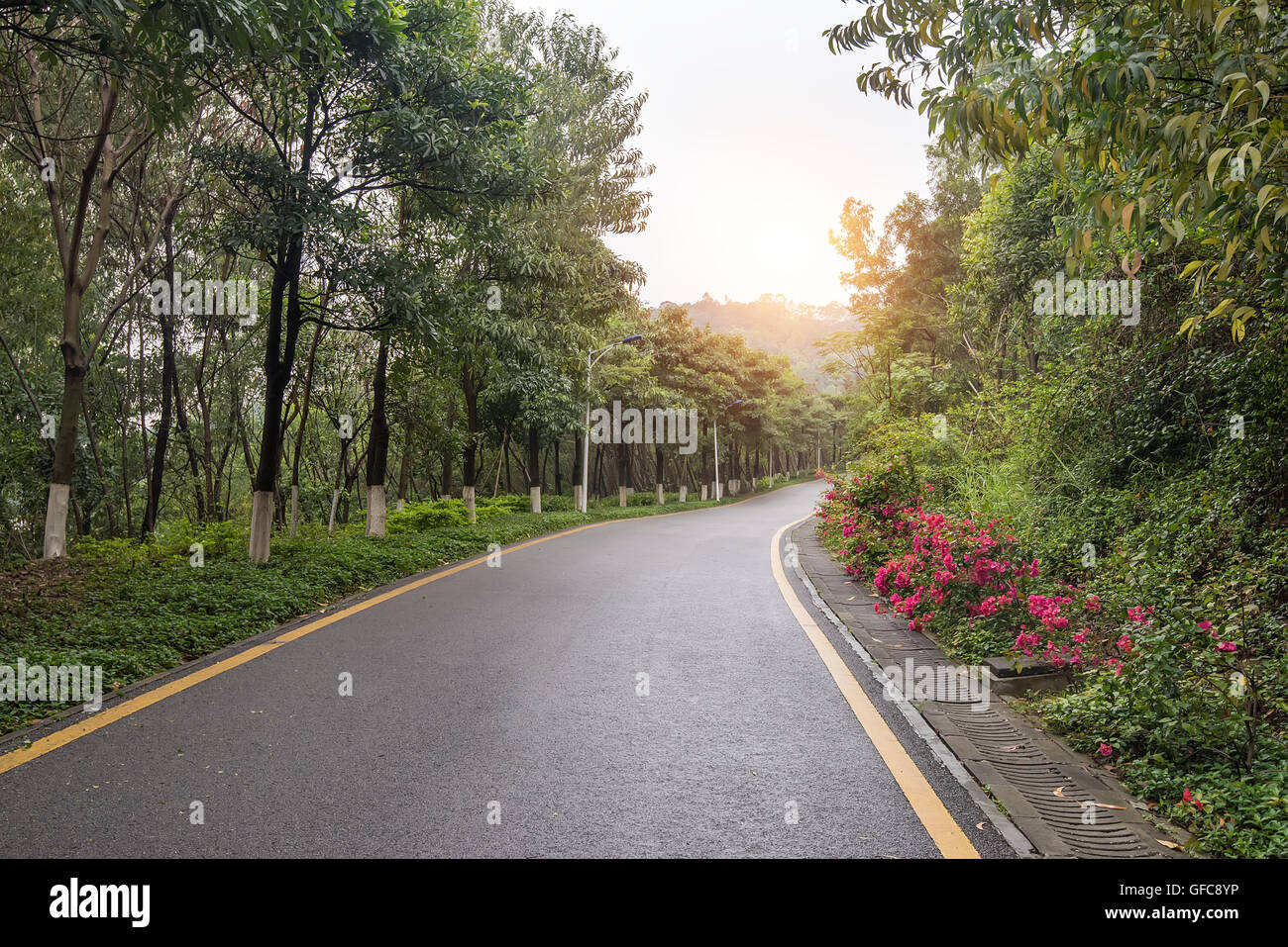 walkway in a beautiful Park Stock Photo - Alamy