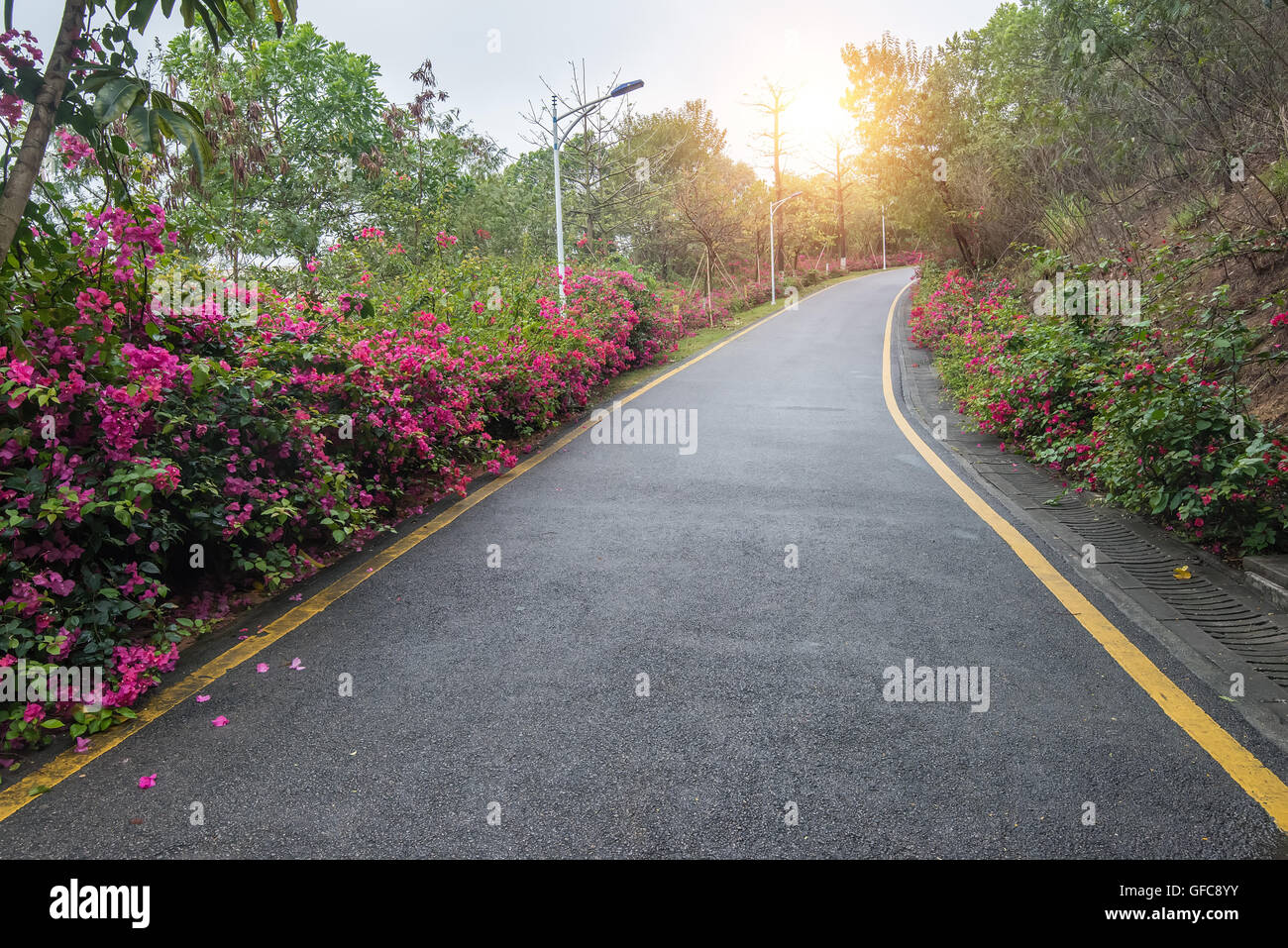 walkway in a beautiful Park Stock Photo - Alamy