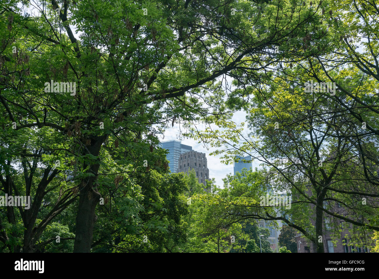 trees and condo tower in downtown toronto Stock Photo - Alamy