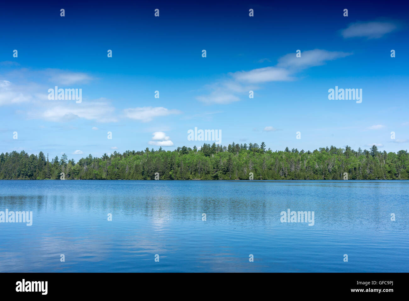 Sunny day at the lake hi-res stock photography and images - Alamy