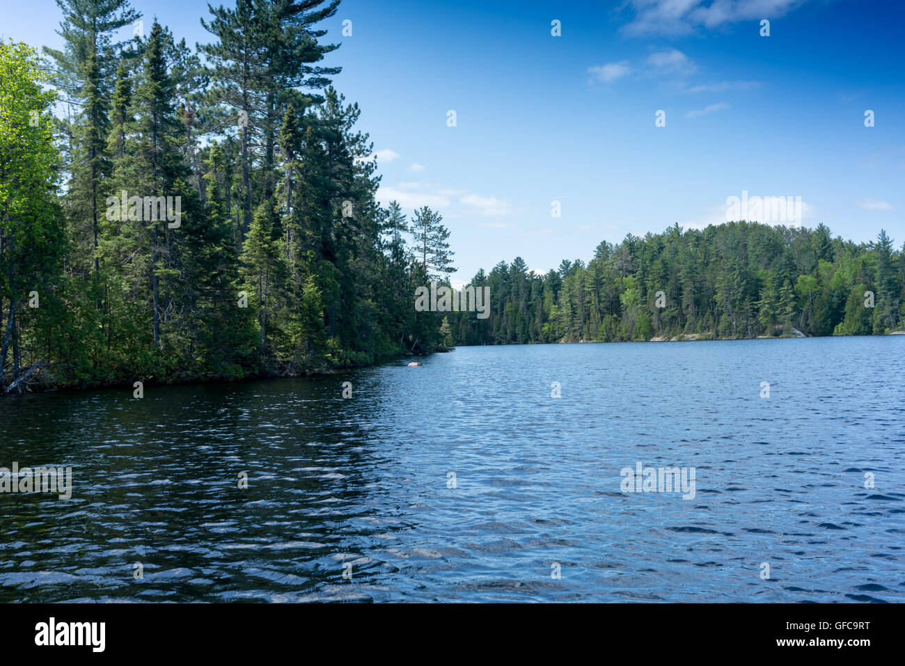 Lake ontario sunny hi-res stock photography and images - Alamy