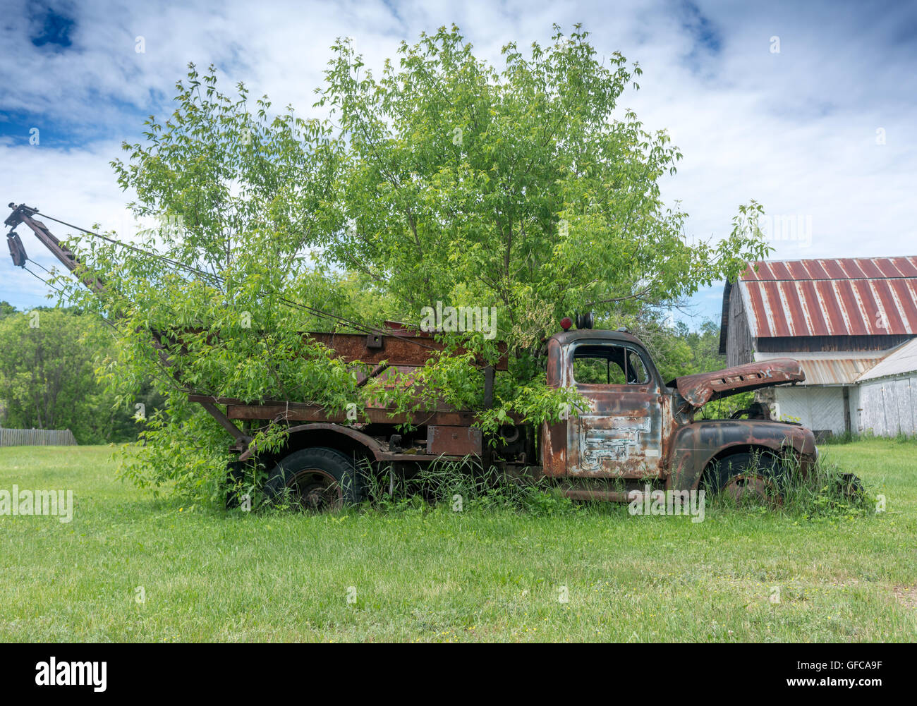 old rusty truck on the grass Stock Photo - Alamy