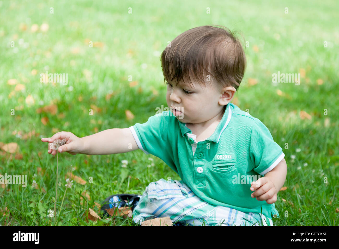 Boy plucking flowers in a garden Stock Photo - Alamy