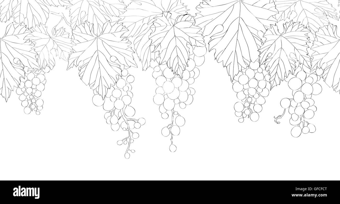 Seamless pattern with hand drawn bunch of grapes Stock Vector Image ...