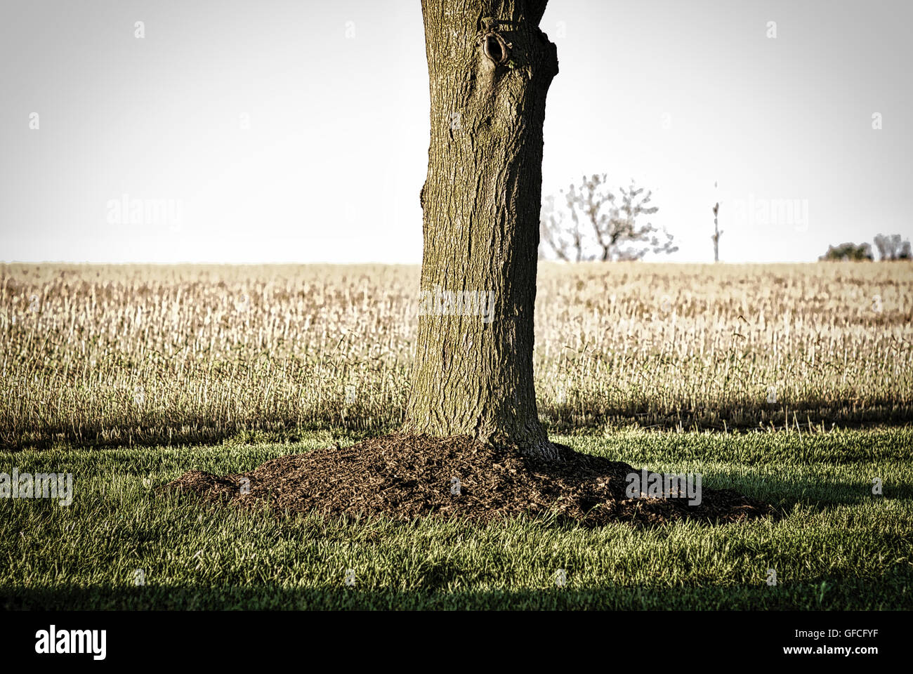 Empty Grassy Field No People High Resolution Stock Photography and ...