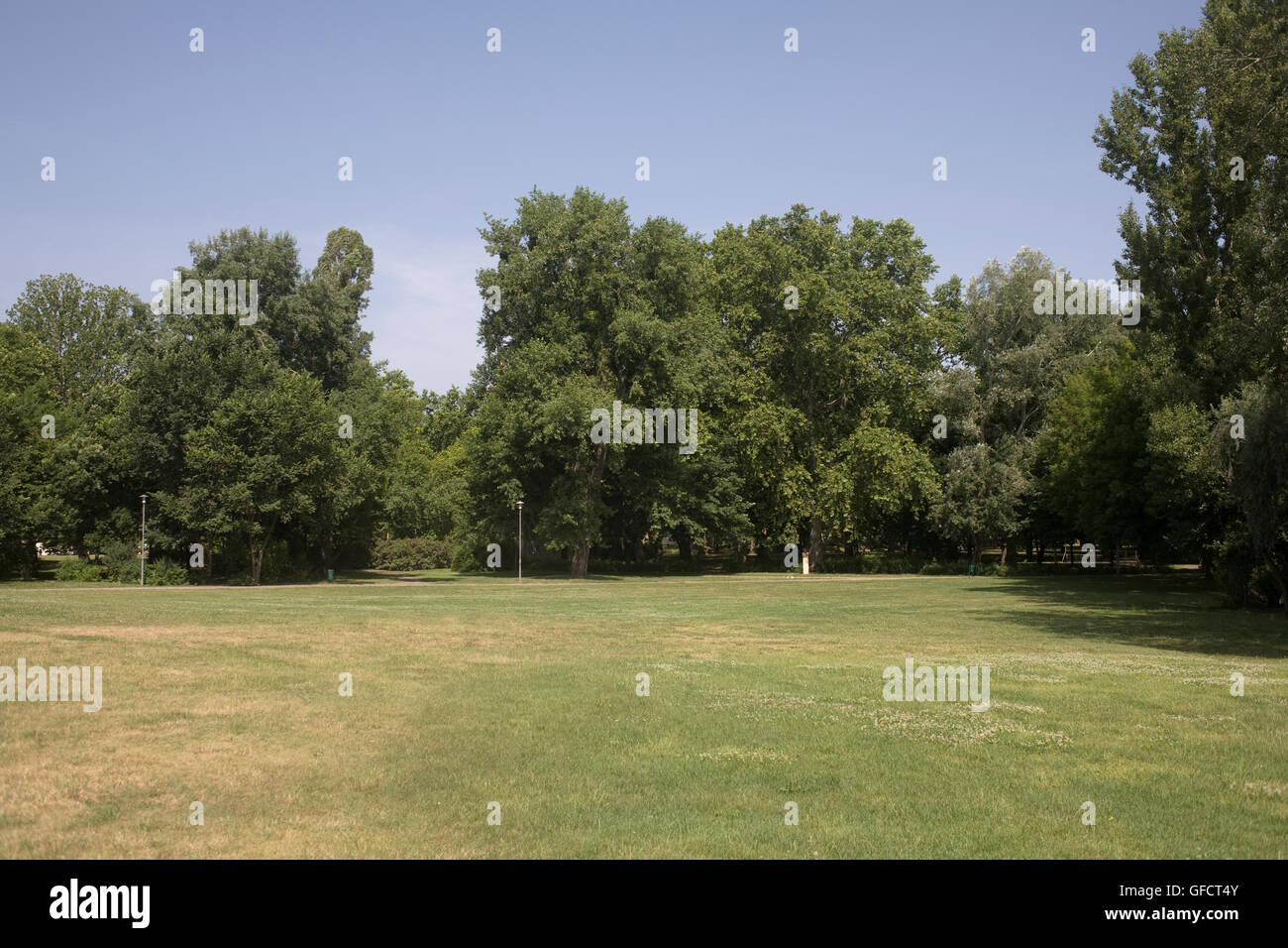 City park open space trees hi-res stock photography and images - Alamy