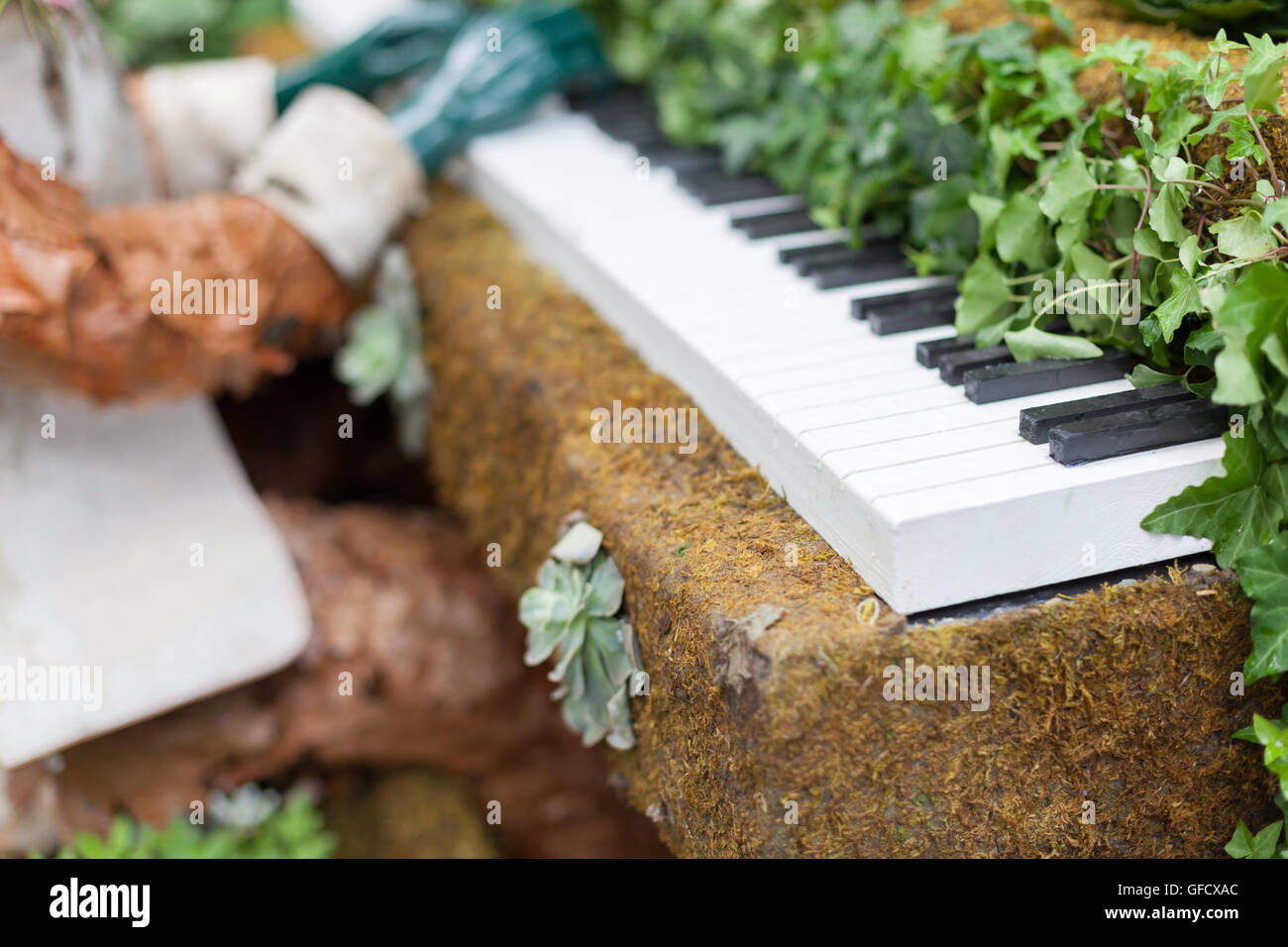 Allan gardens conservatory Christmas piano by garden muses, Toronto ...
