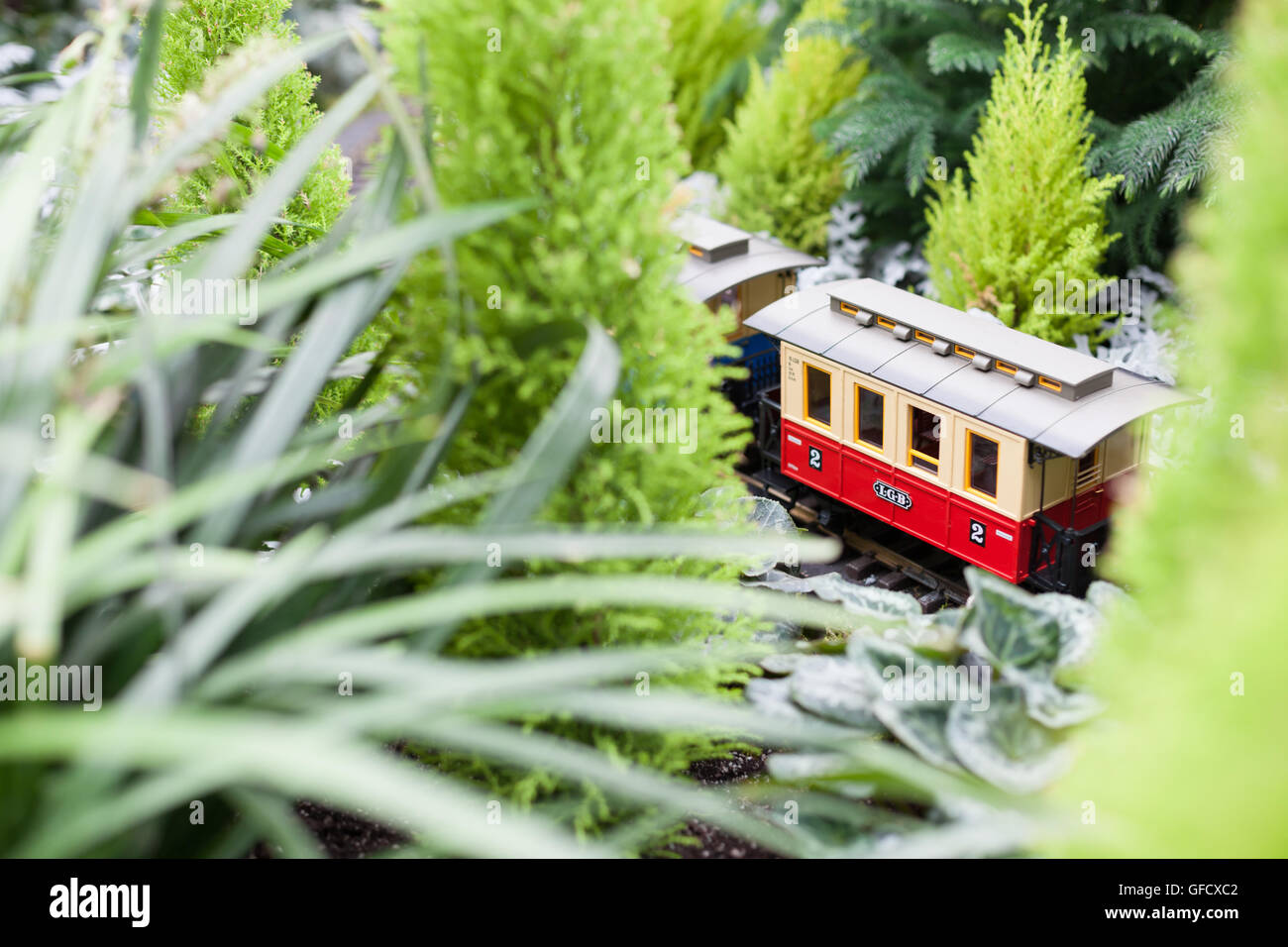 Toy train surrounded by conservatory Christmas green plants at Allan ...