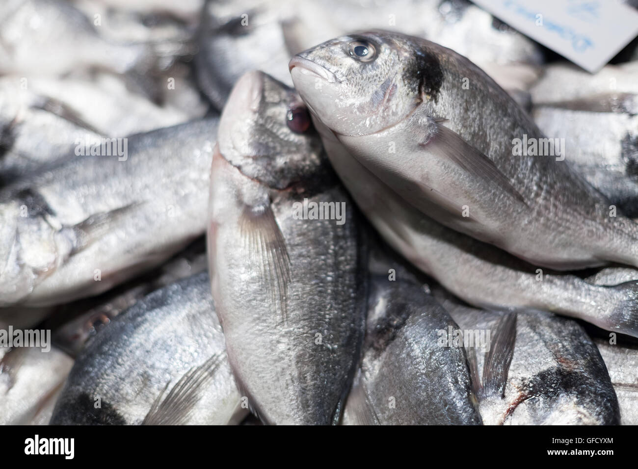 Sea beam hi-res stock photography and images - Alamy