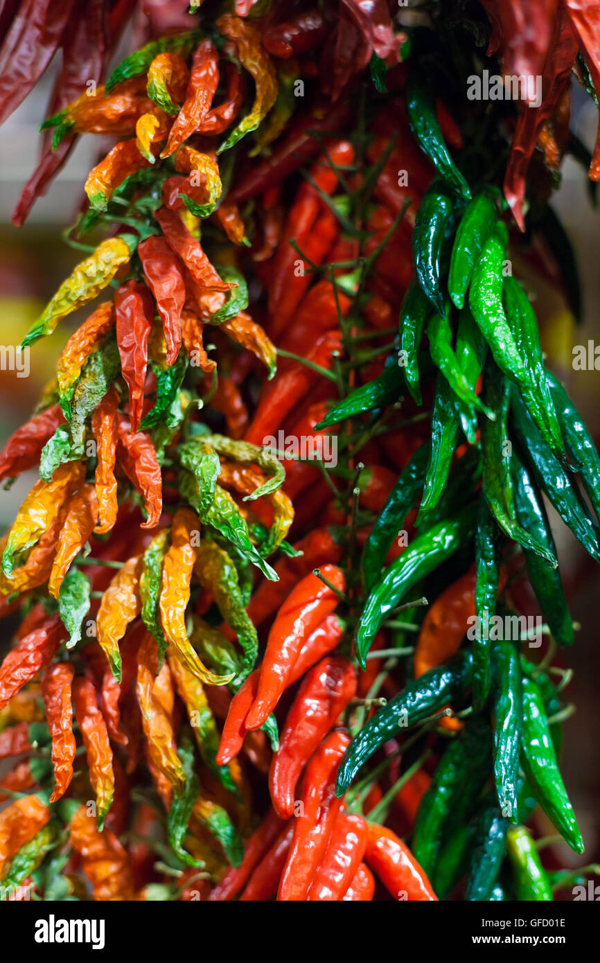Rows of variety chilli peppers hang together in bunches at market stall ...