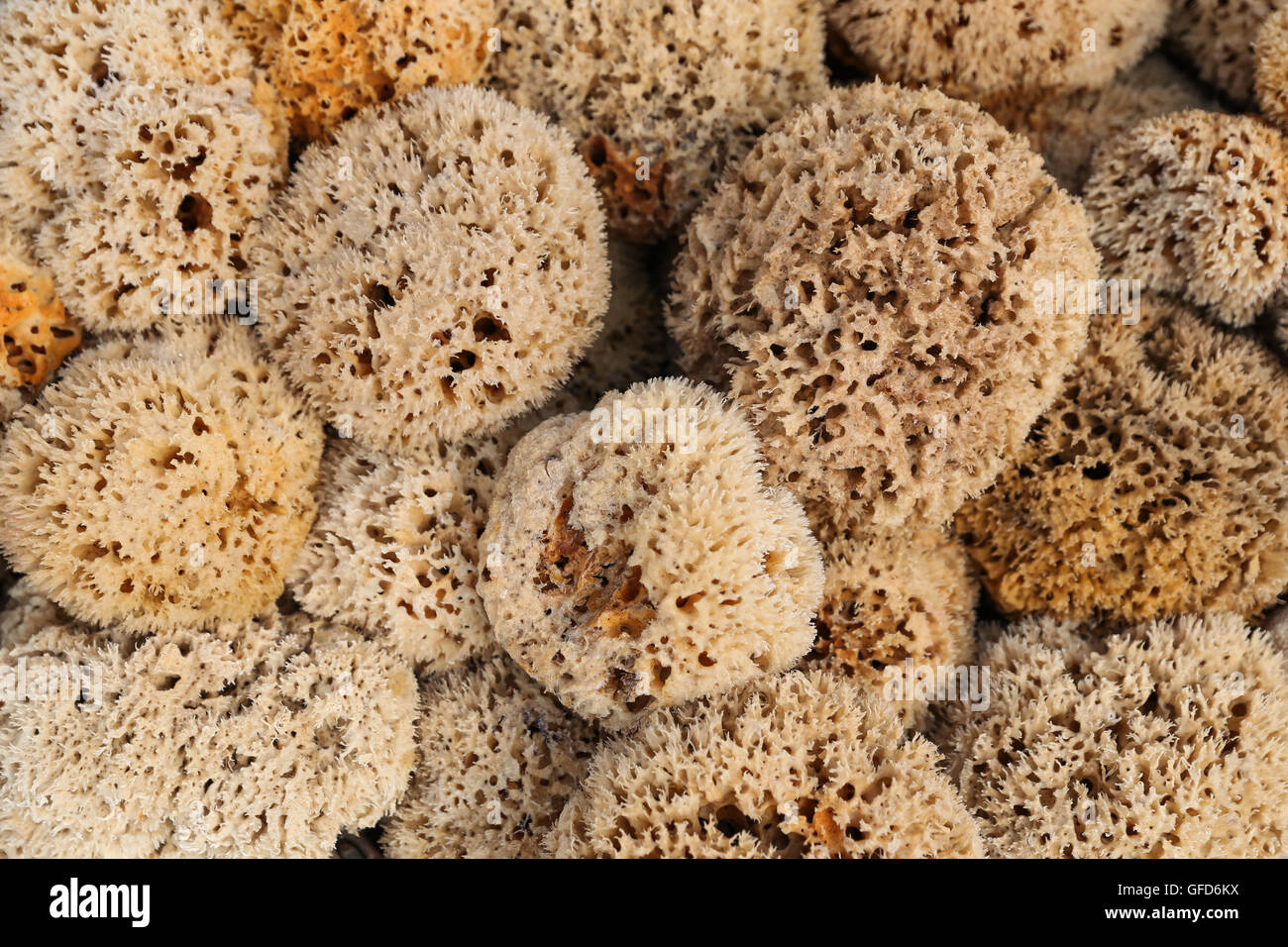 Bathing sponges hi-res stock photography and images - Alamy