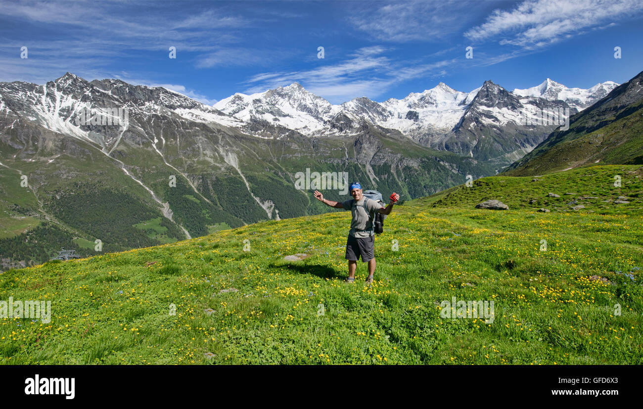 Field of wildflowers and view of Dom Peak and Mt. Rosa on the Haute ...