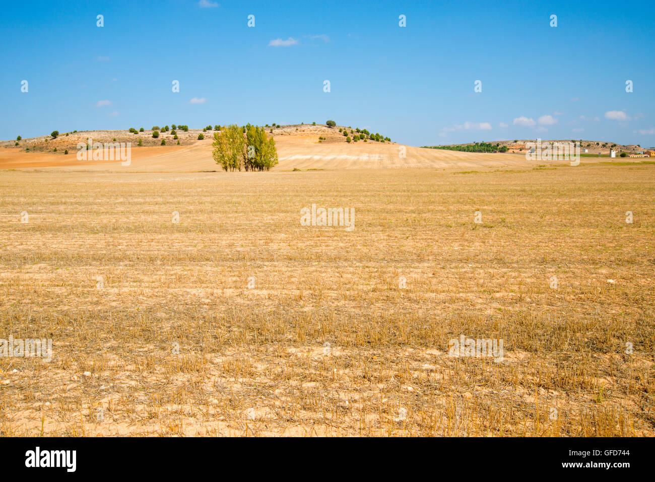Castilian hi-res stock photography and images - Alamy